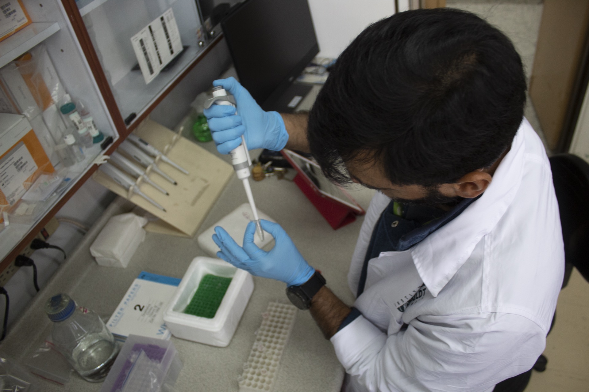 Explorando el ADN de hongos y bacterias para la conservación